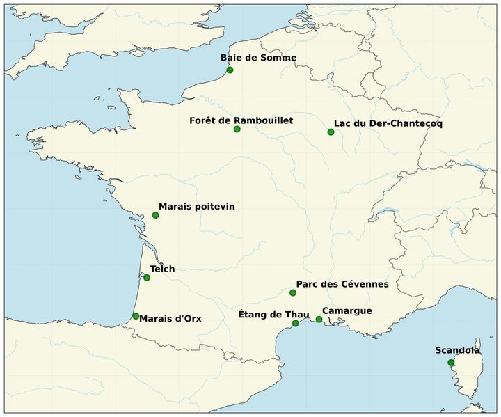 Les meilleurs spots en France pour observer les oiseaux